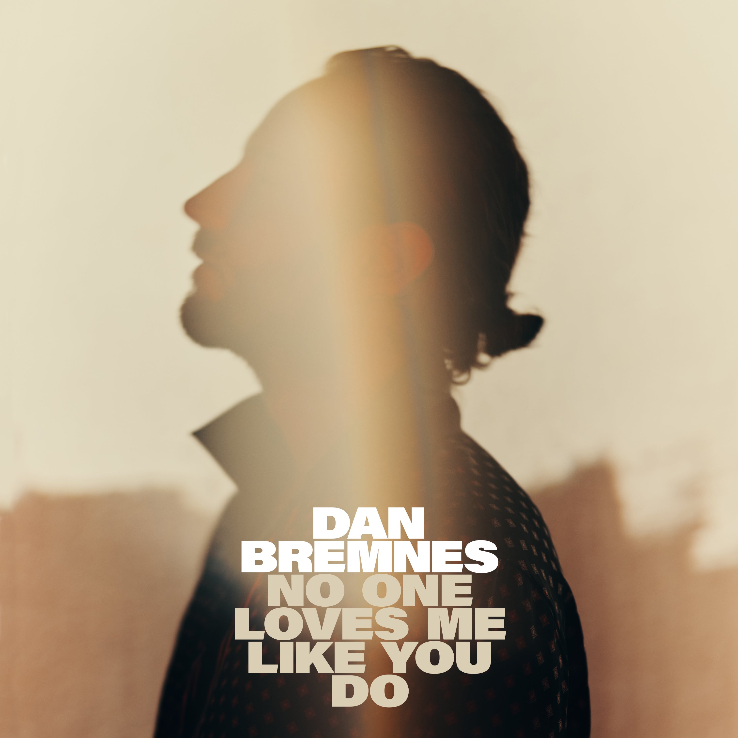 Dan Bremnes Official Website